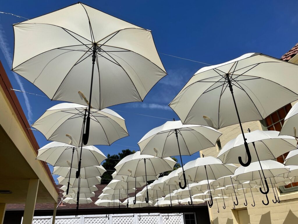 Lee Burrows Center for the Arts - Yuba Sutter Arts & Culture