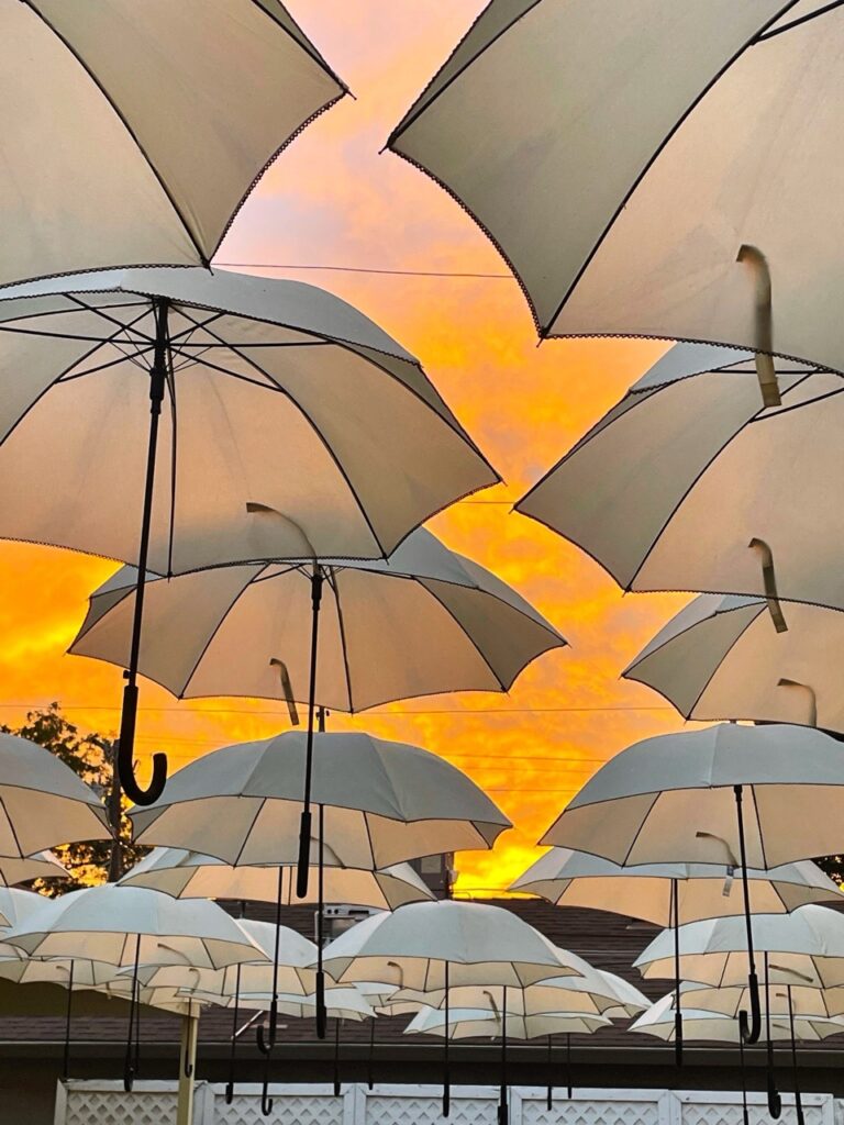 Lee Burrows Center for the Arts - Yuba Sutter Arts & Culture